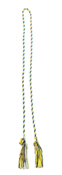 Graduation Honors – Wasatch High School